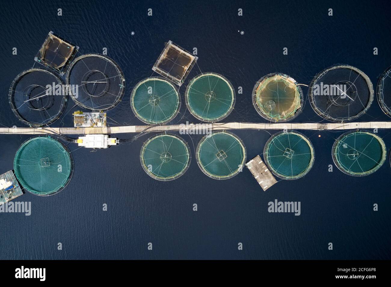 Fish farm salmon round nets in natural environment Loch Awe Arygll and ...