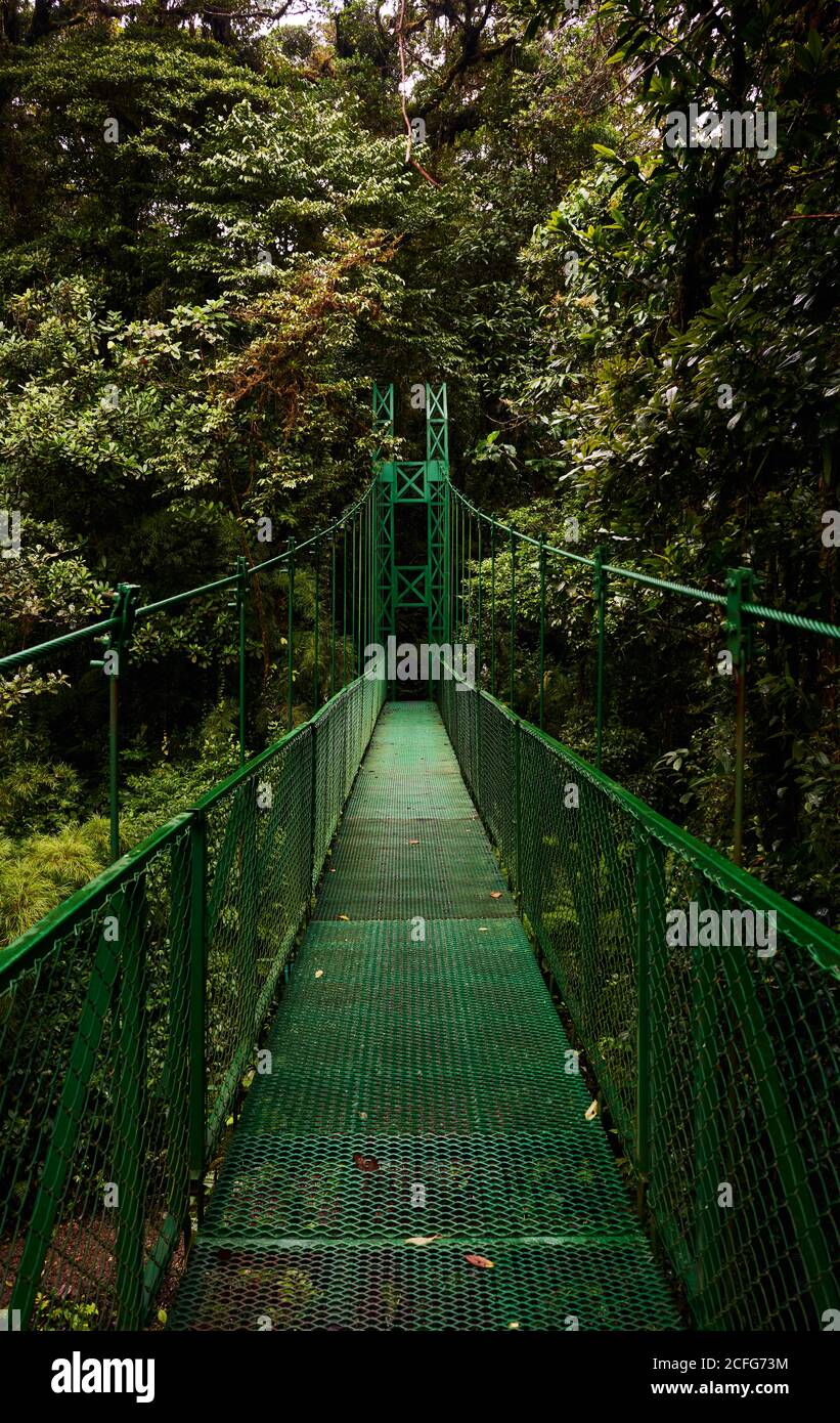 Metal bridge exit in jungle hi-res stock photography and images - Alamy