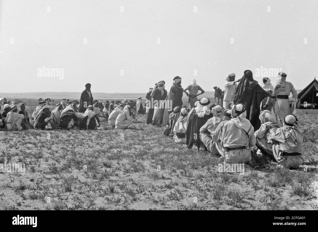 Archival locust plague hi-res stock photography and images - Alamy