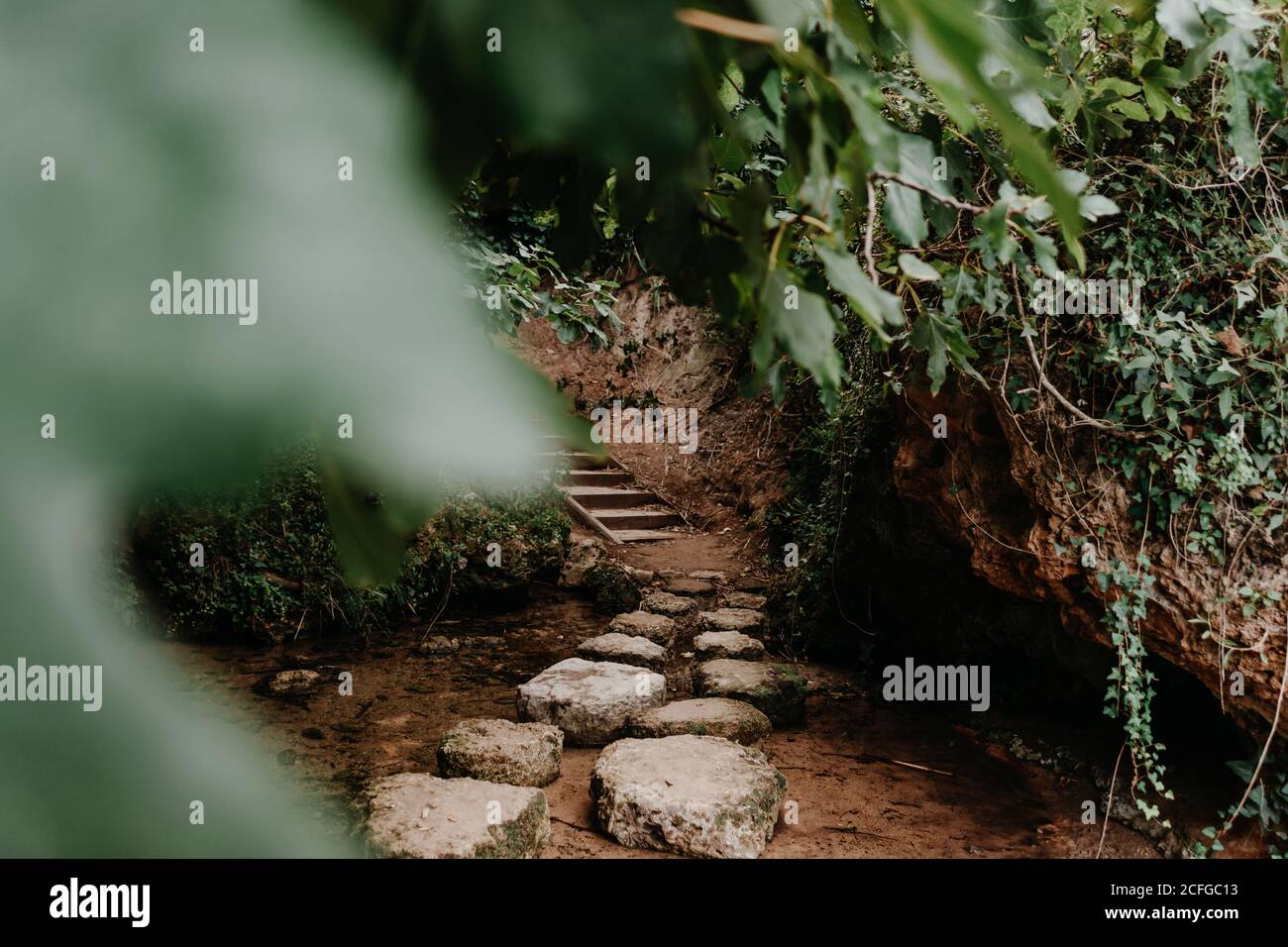 Stone among trees hi-res stock photography and images - Alamy