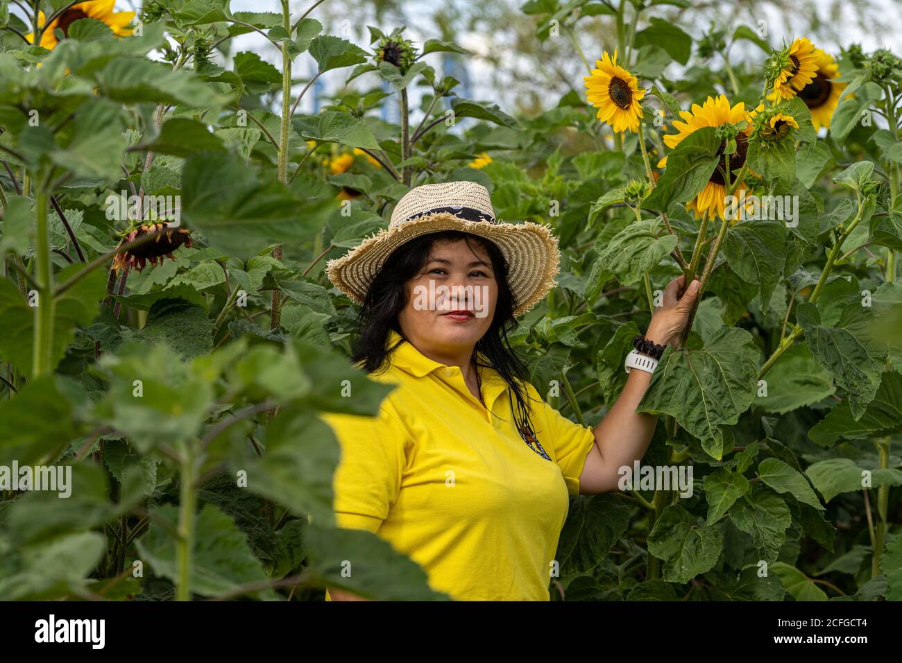 Attractive middle aged asian woman hi-res stock photography and images ...