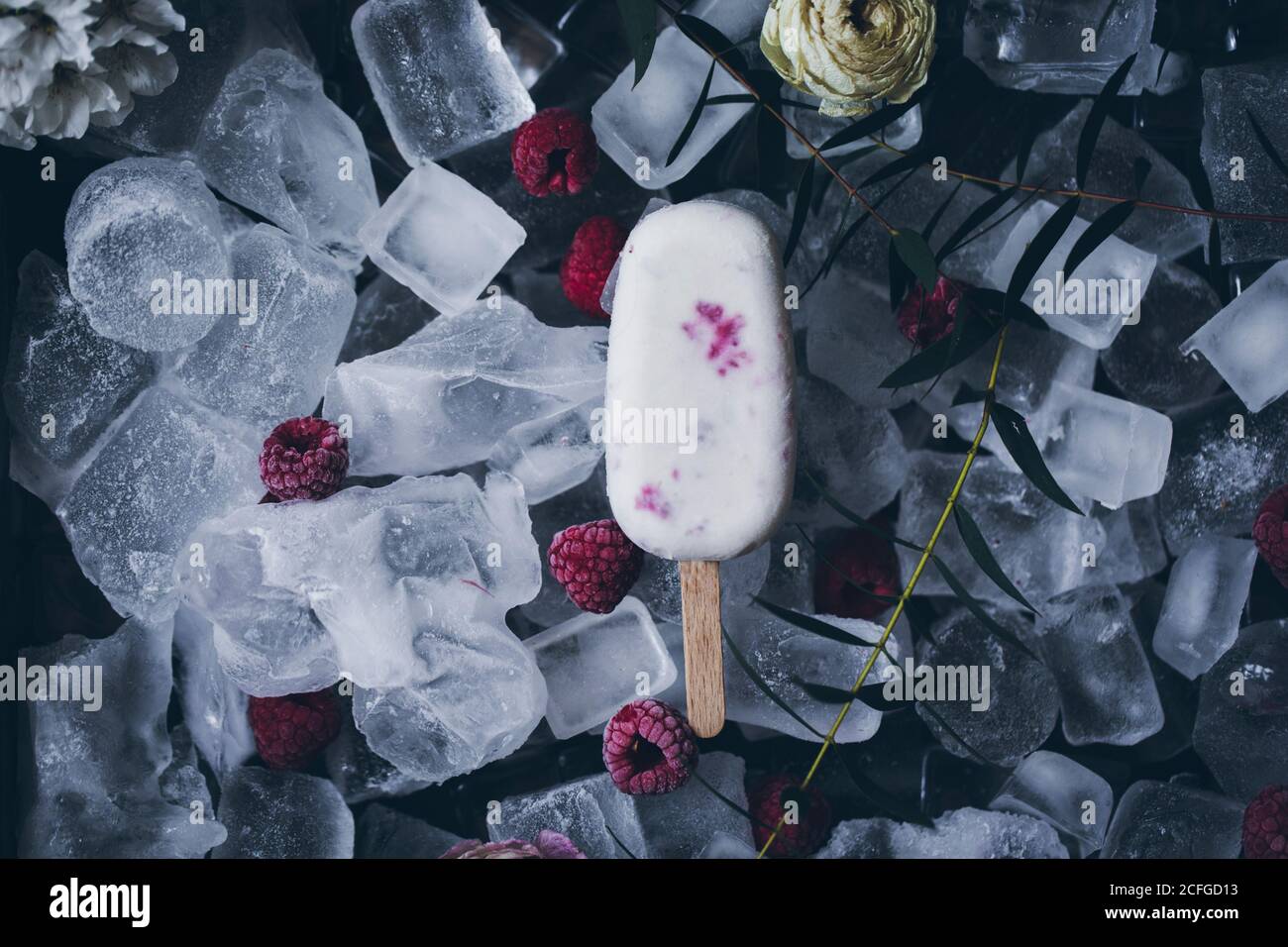 Top view still life of creamy raspberry popsicle placed on top of ice ...