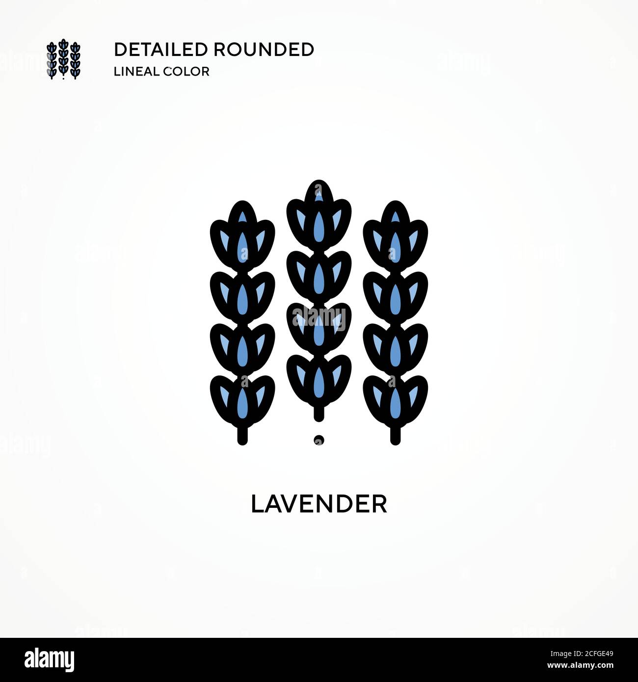 Lavender vector icon. Modern vector illustration concepts. Easy to edit ...