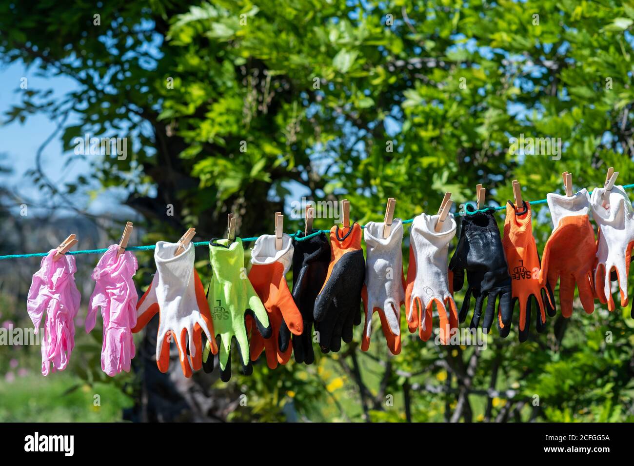 Gloves drying on the rope in the backyard Stock Photo - Alamy