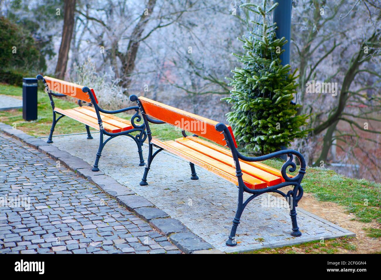 Empty Benches Table Trees Bench High Resolution Stock Photography and ...