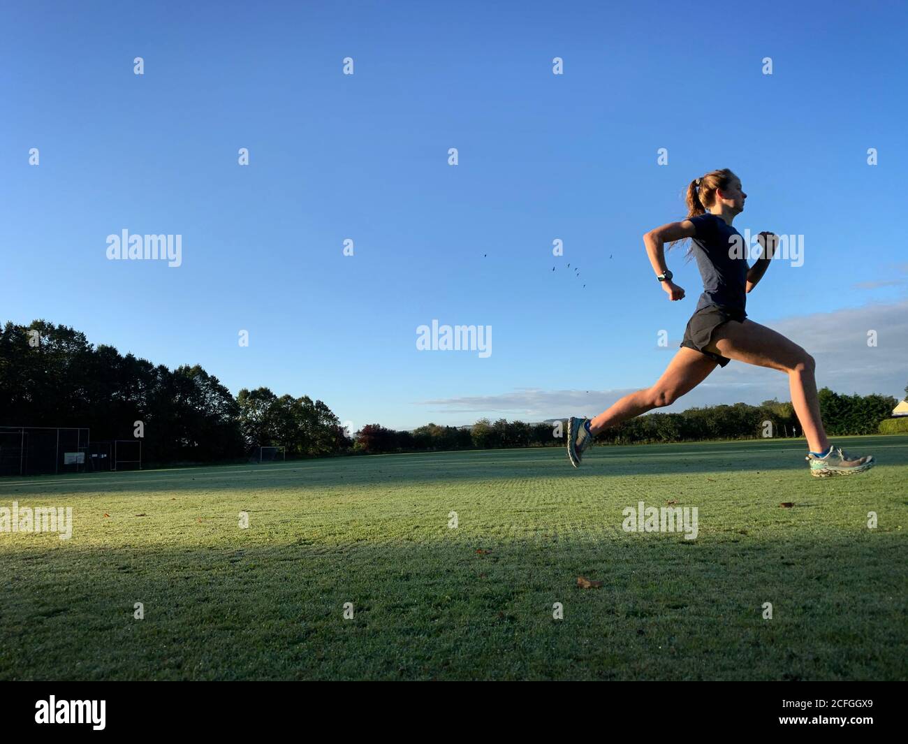 School run by pony hi-res stock photography and images - Alamy