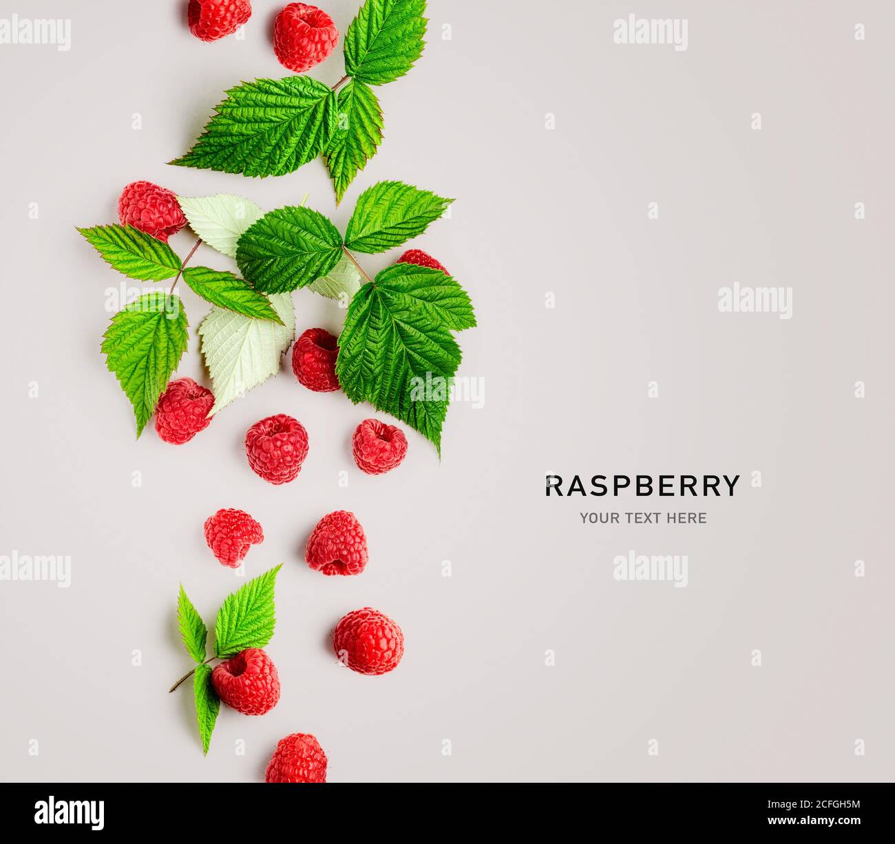 Raspberries with leaves creative layout on gray background. Healthy ...