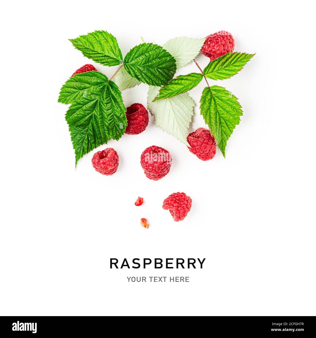 Raspberries with leaves creative layout isolated on white background ...