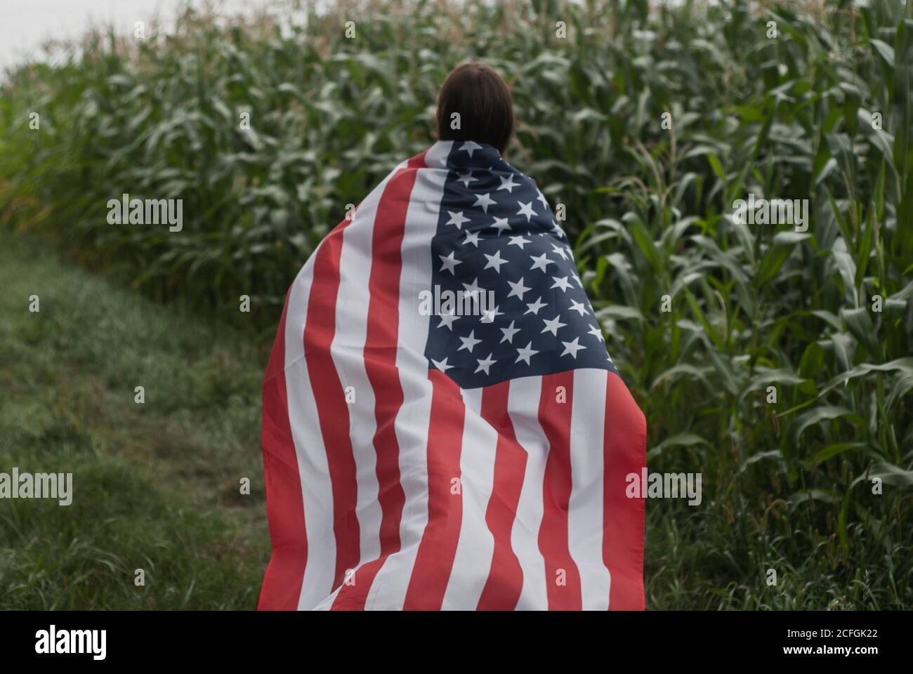 American flag star field hi-res stock photography and images - Alamy