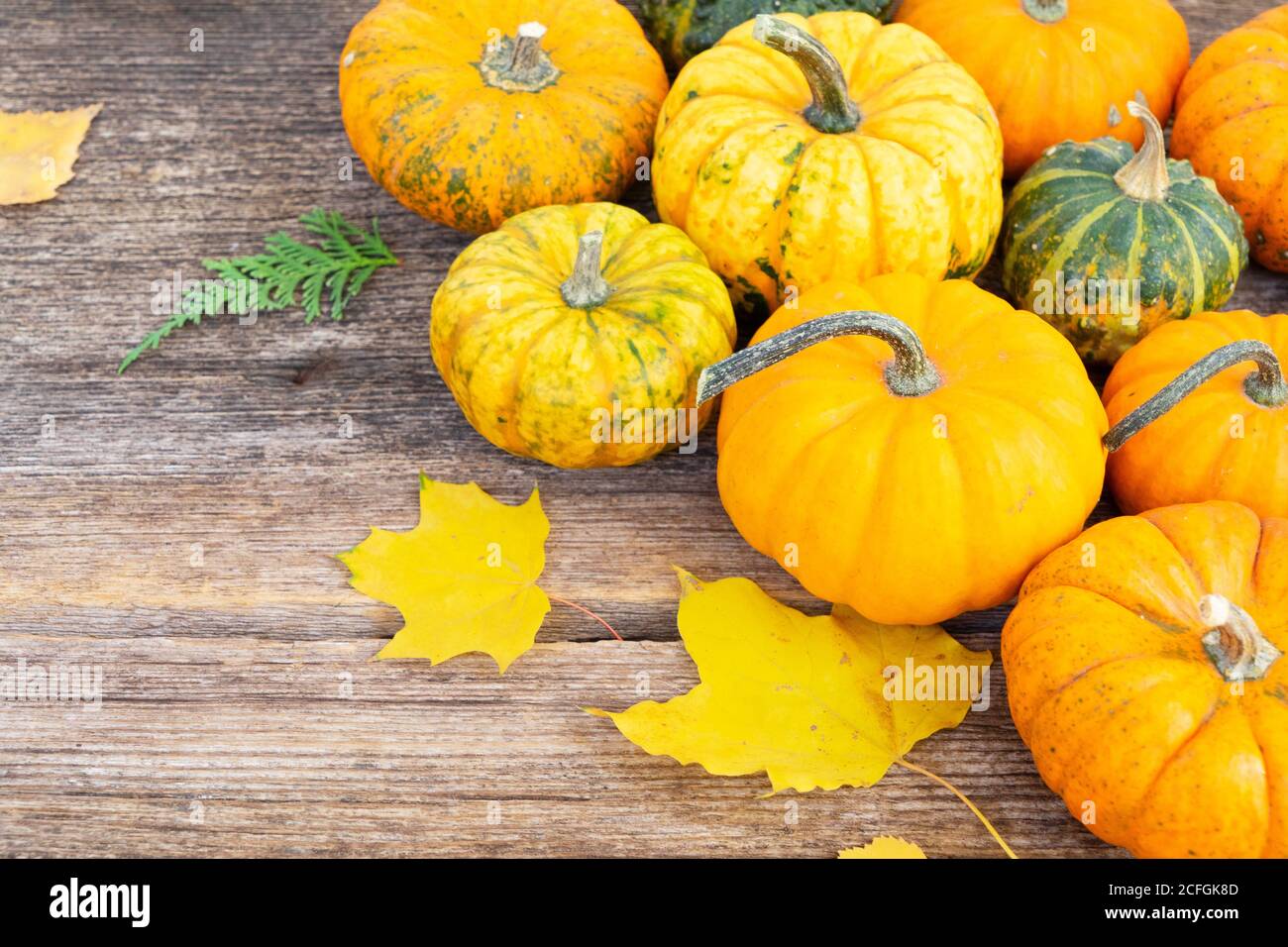 pumpkin on table Stock Photo - Alamy
