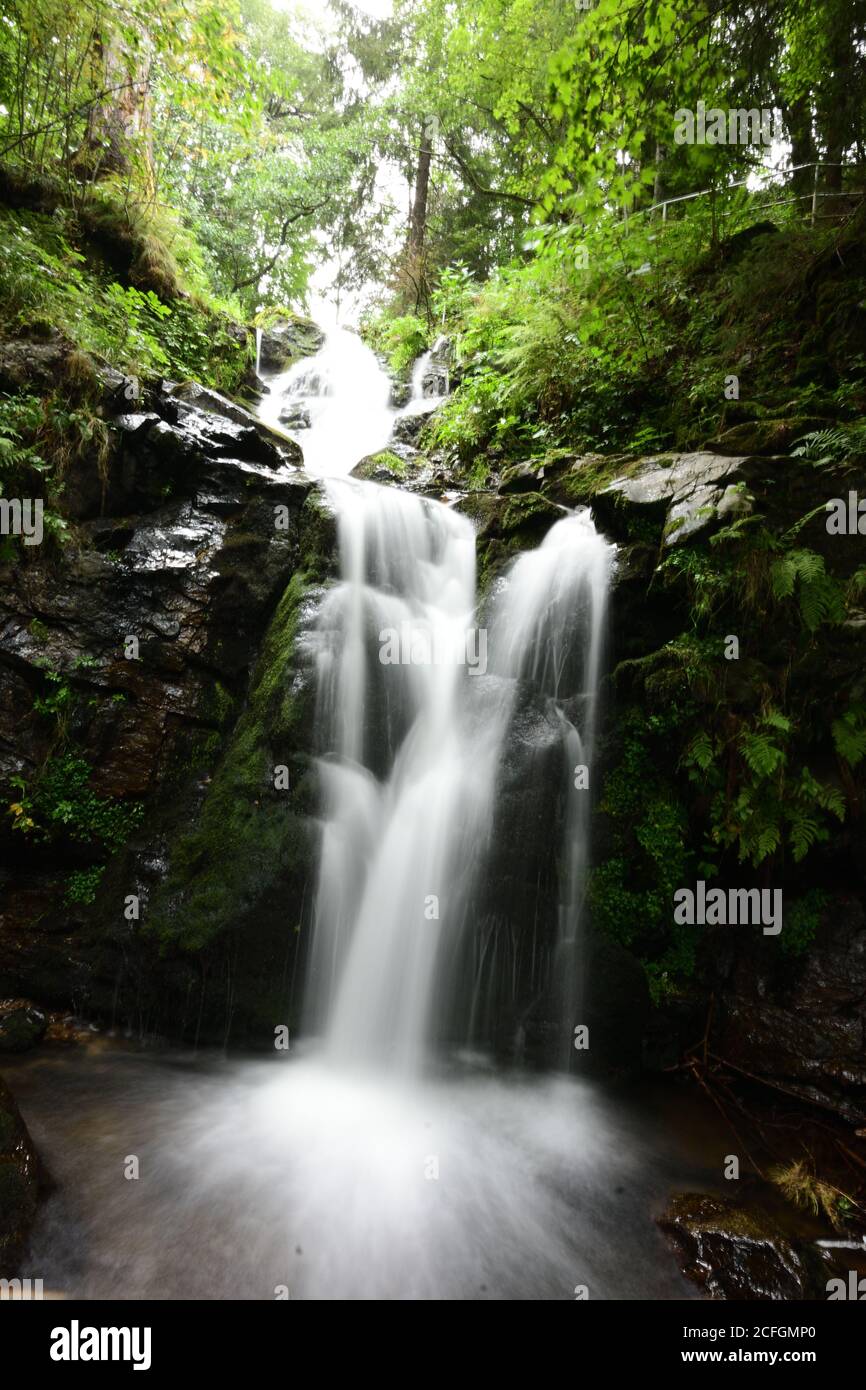 Trip advisor map hi-res stock photography and images - Alamy