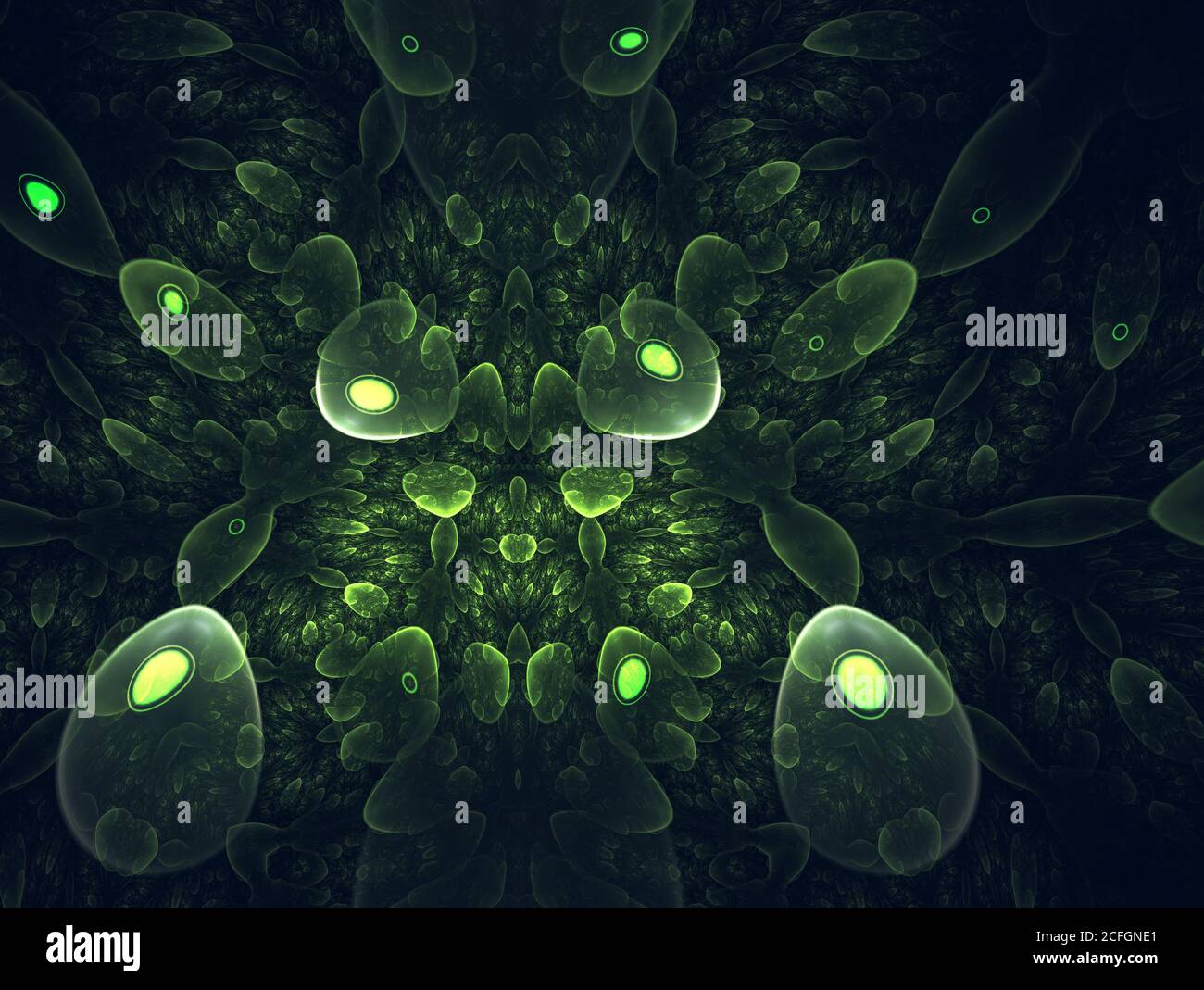 Mitosis Prophase High Resolution Stock Photography and Images - Alamy
