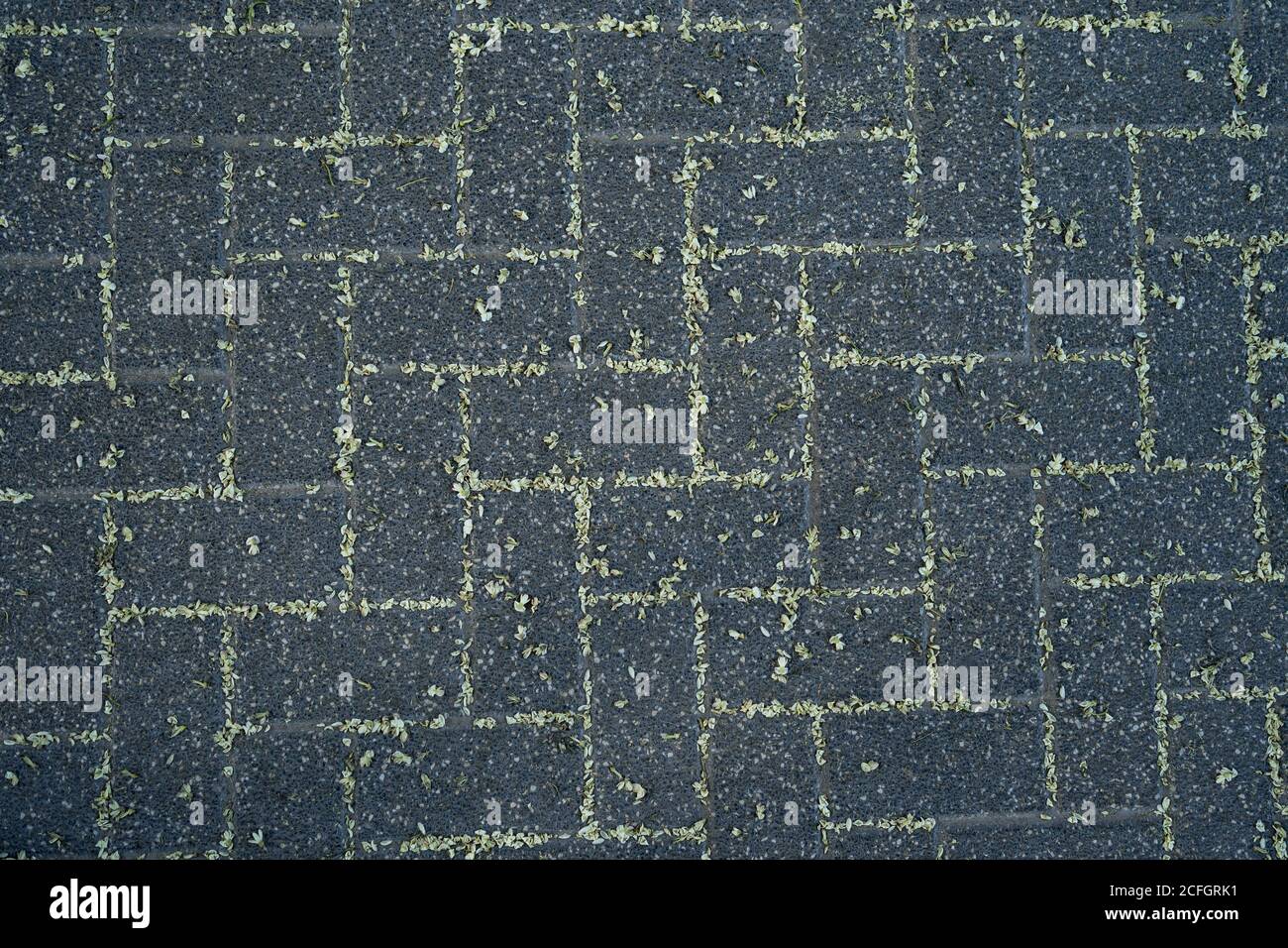 Cobblestone pavement road with edge courses at the sidewalk texture ...