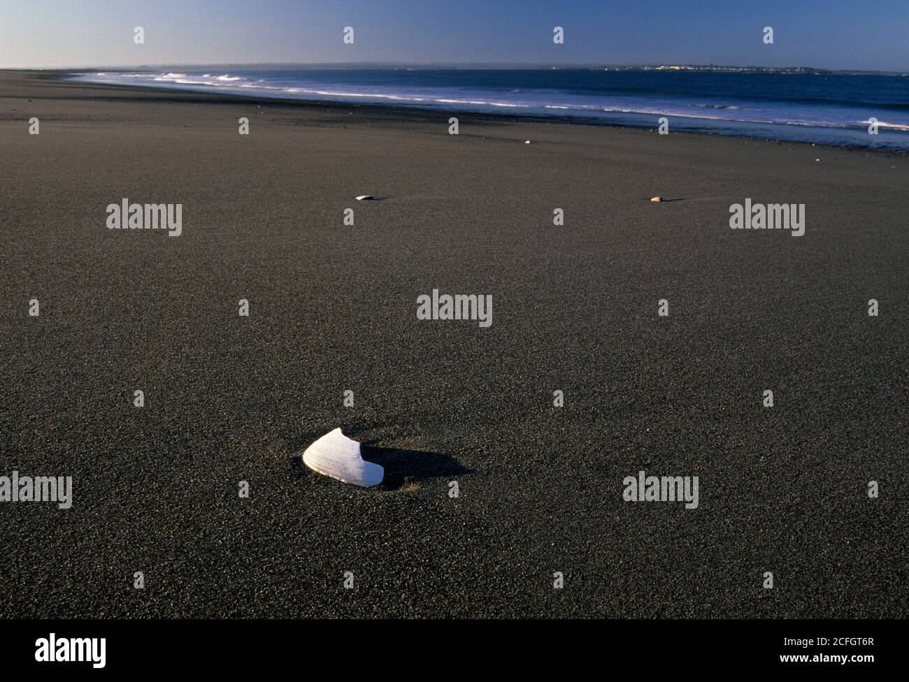 Beach, Damon Point State Park, Washington Stock Photo - Alamy