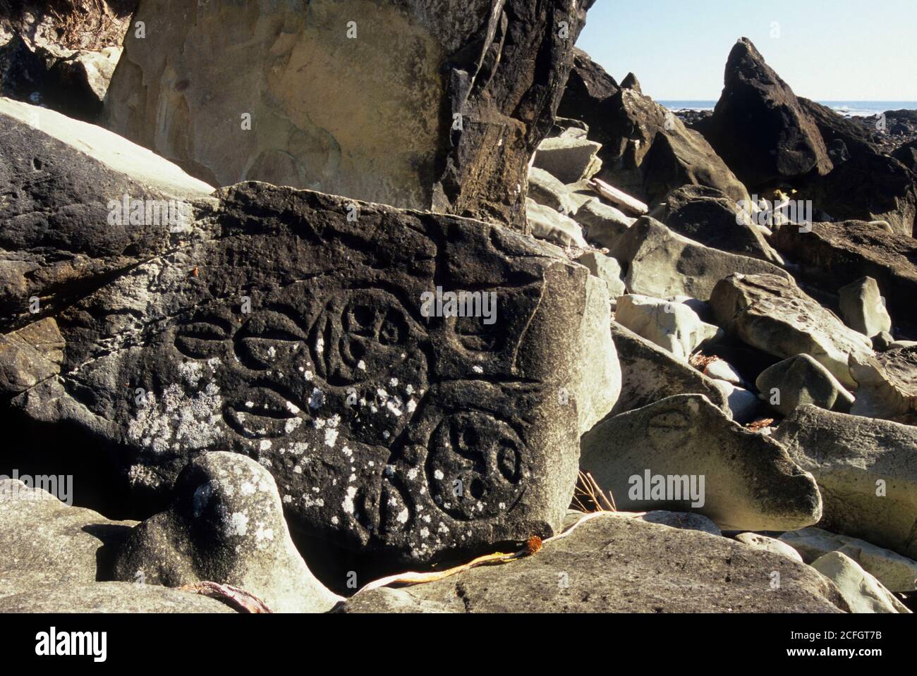 Petroglyphs at Wedding Rock, Olympic National Park, Washington Stock ...