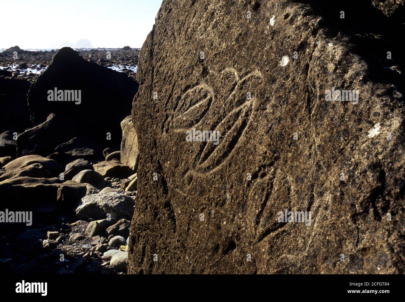 Petroglyphs at Wedding Rock, Olympic National Park, Washington Stock ...