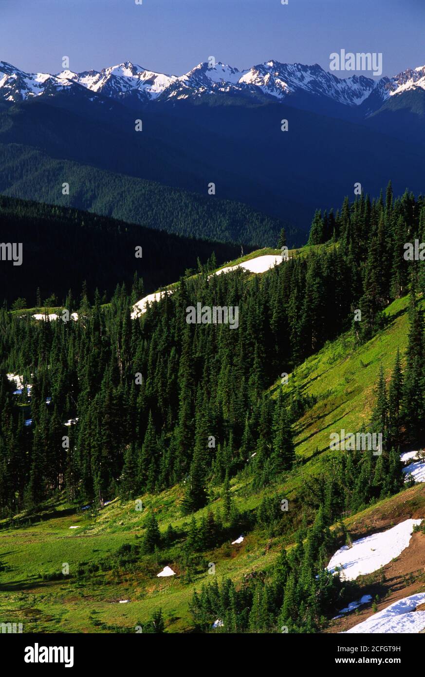 Olympic Mountains from Hurricane Hill Trail, Olympic National Park ...