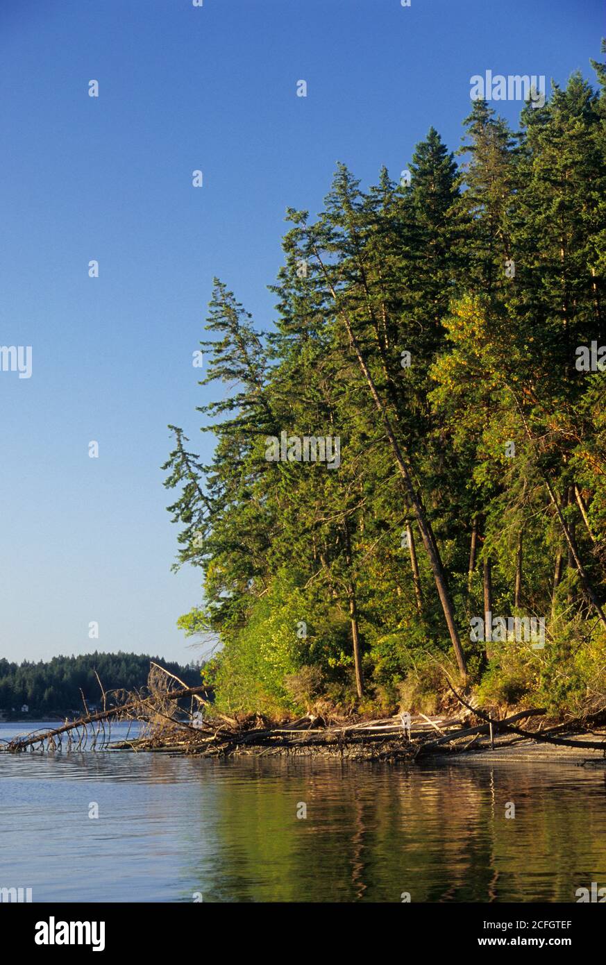 Jarrell cove state park hi-res stock photography and images - Alamy