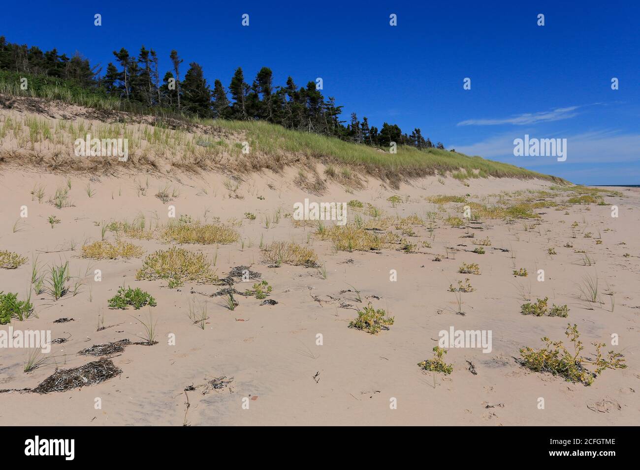 Singing sands in Basin Head Provincial Park; Prince Edward Island ...