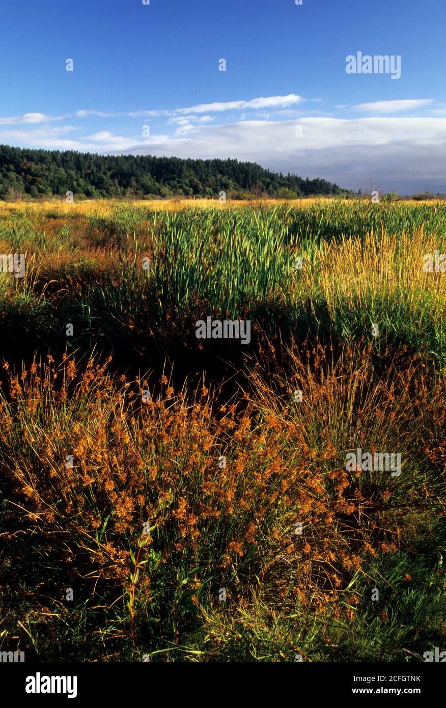 Dike trail hi-res stock photography and images - Alamy