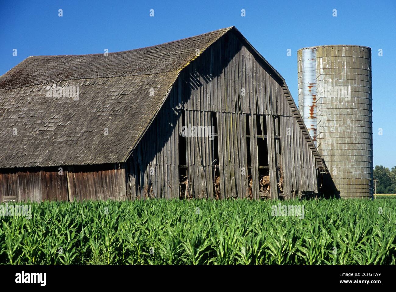 Barn, Whatcom County, Washington Stock Photo - Alamy