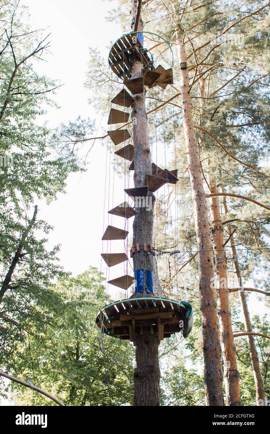 tree ropes for climbing in forest Stock Photo - Alamy