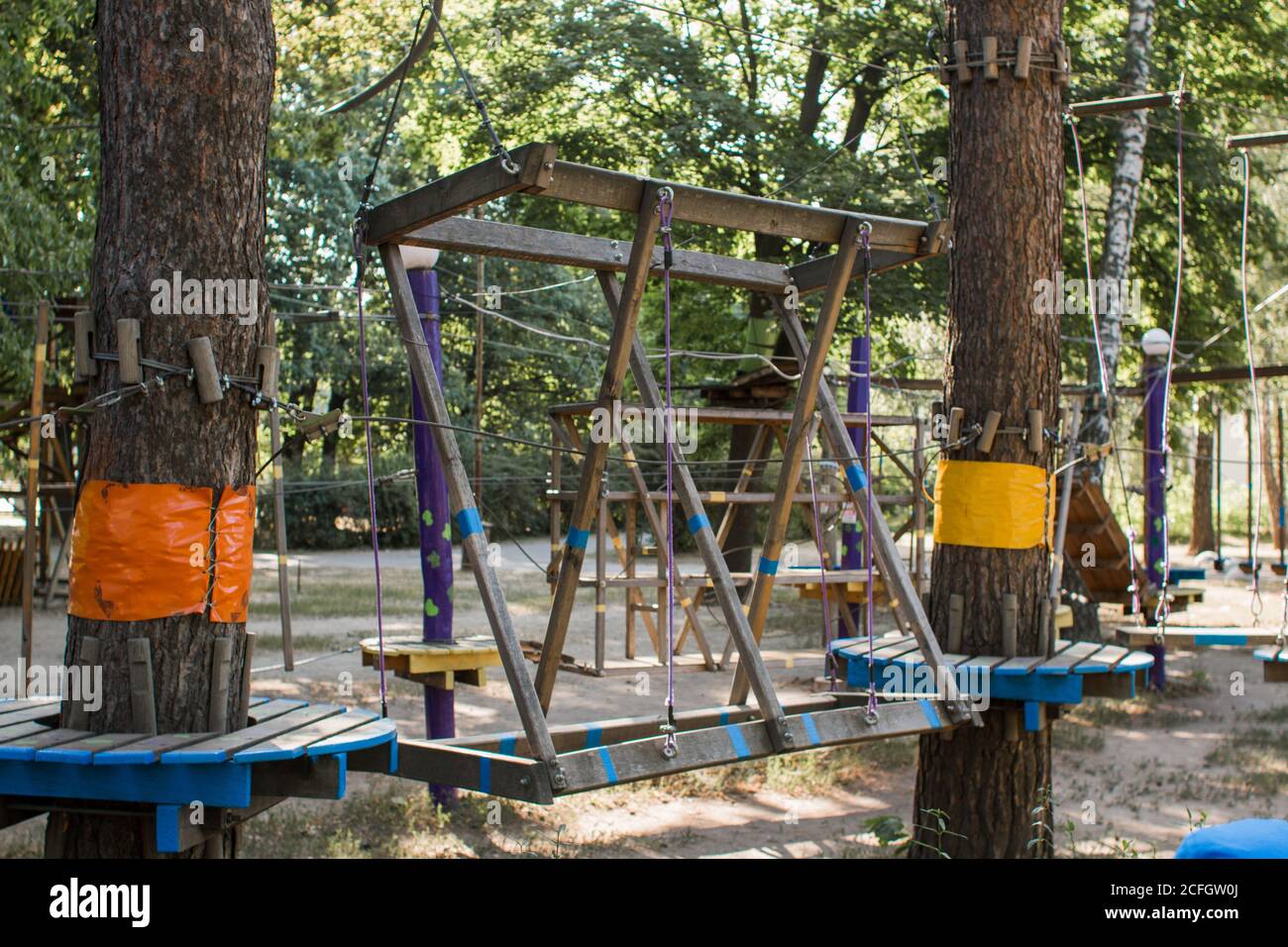 tree ropes for climbing in forest Stock Photo - Alamy