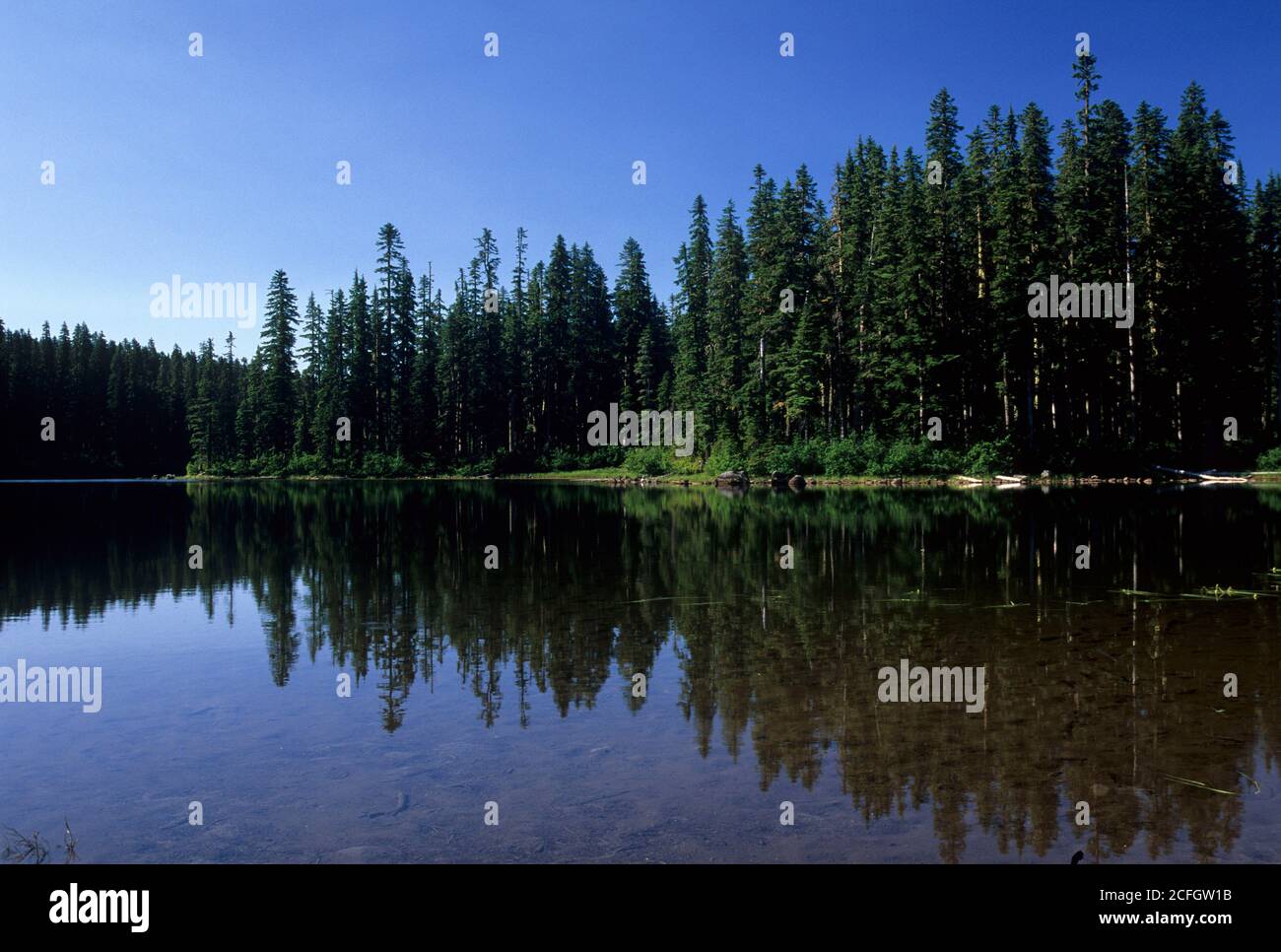 Thomas Lake, Indian Heaven Wilderness, Gifford Pinchot National Forest ...
