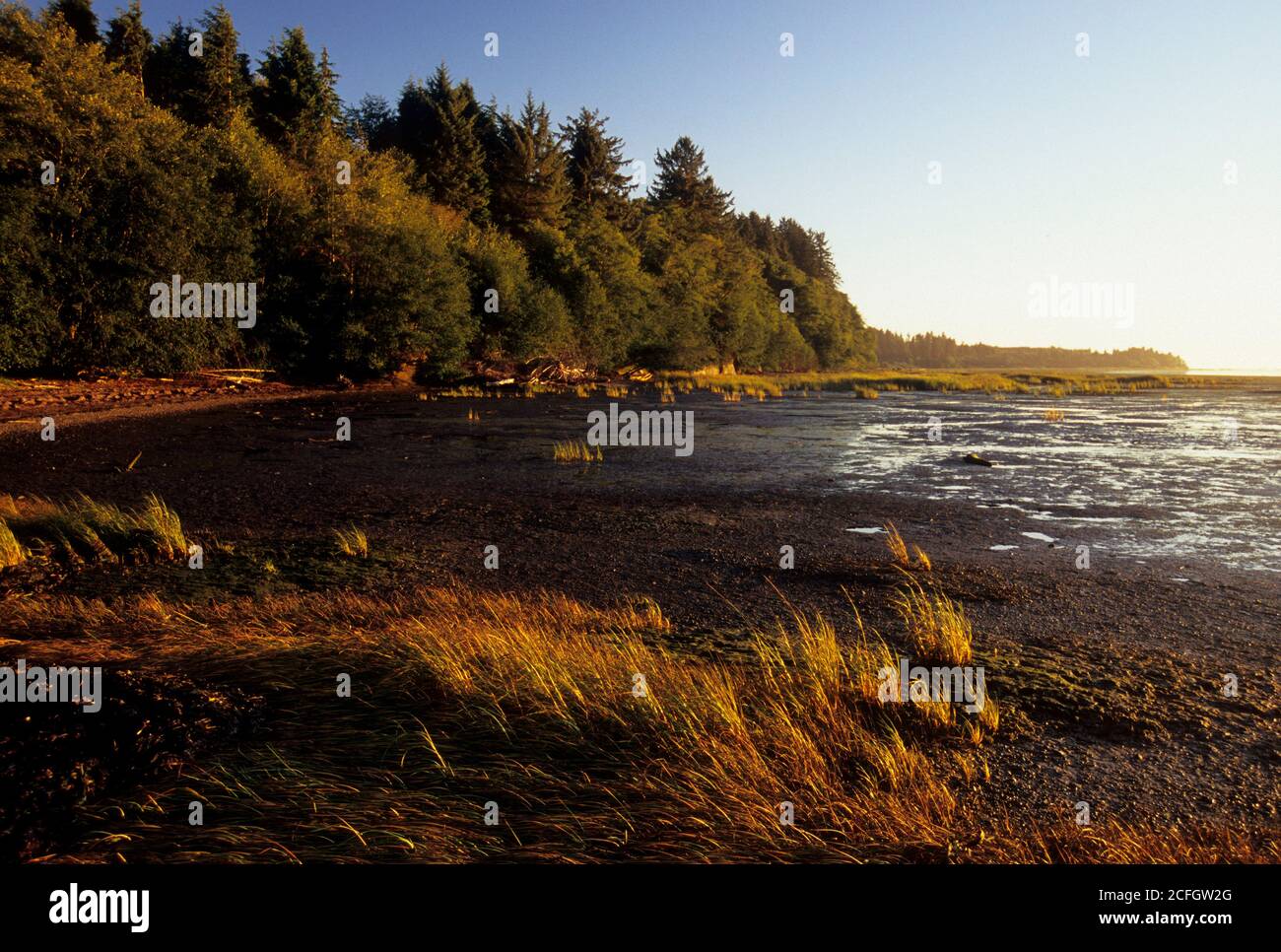 Willapa bay hi-res stock photography and images - Alamy