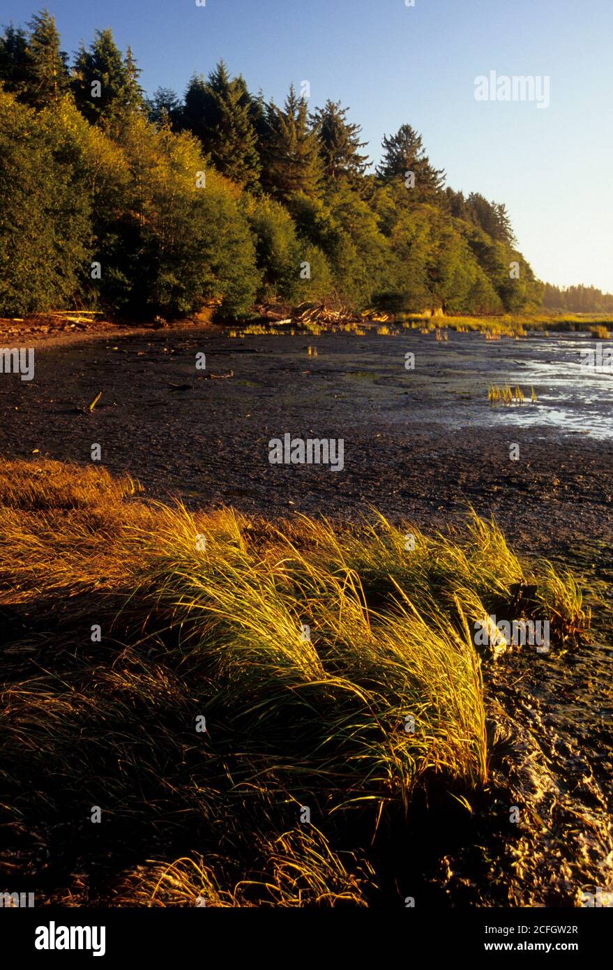 Willapa bay washington hi-res stock photography and images - Alamy