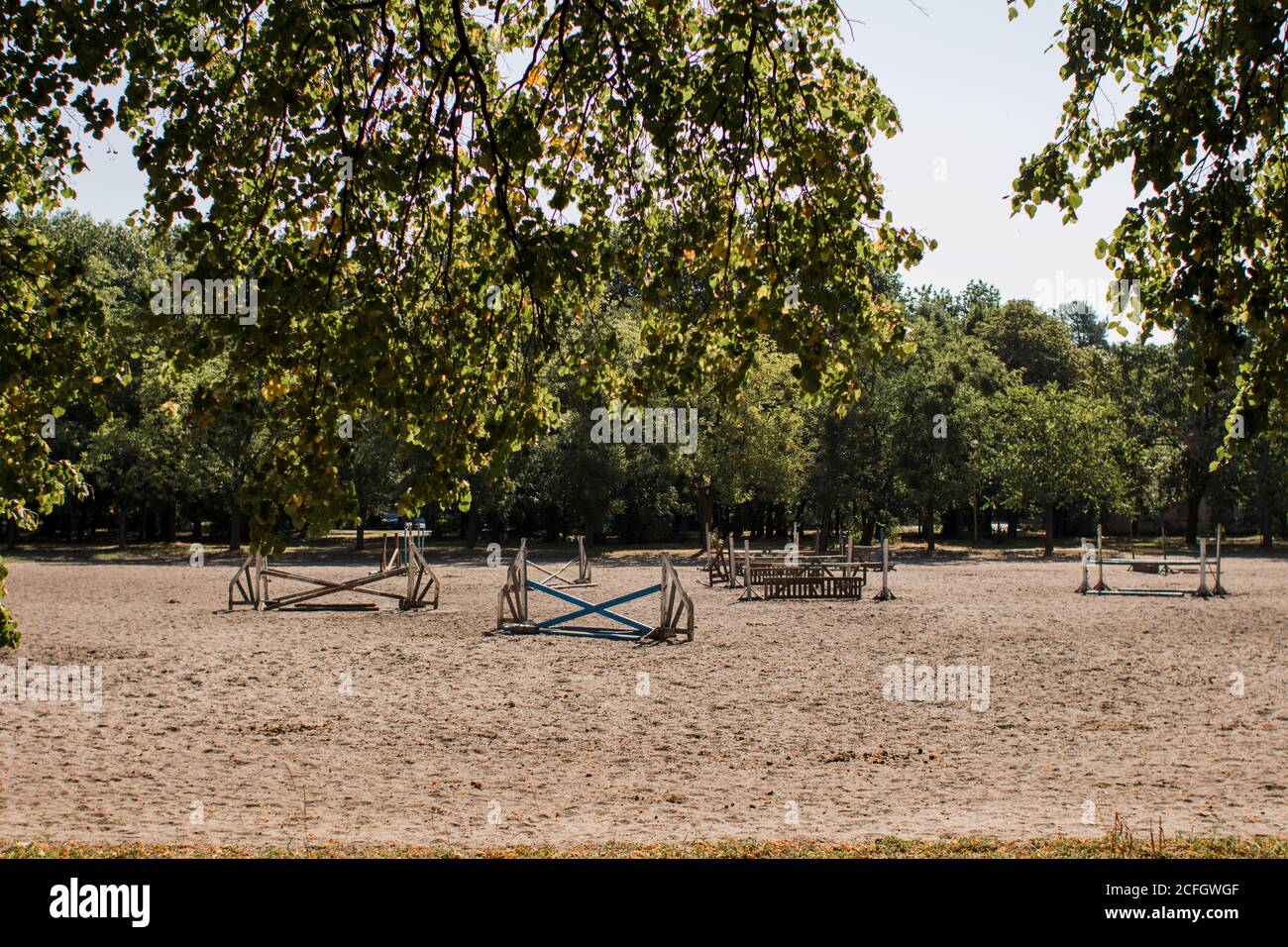 training field in stable in the forest Stock Photo - Alamy