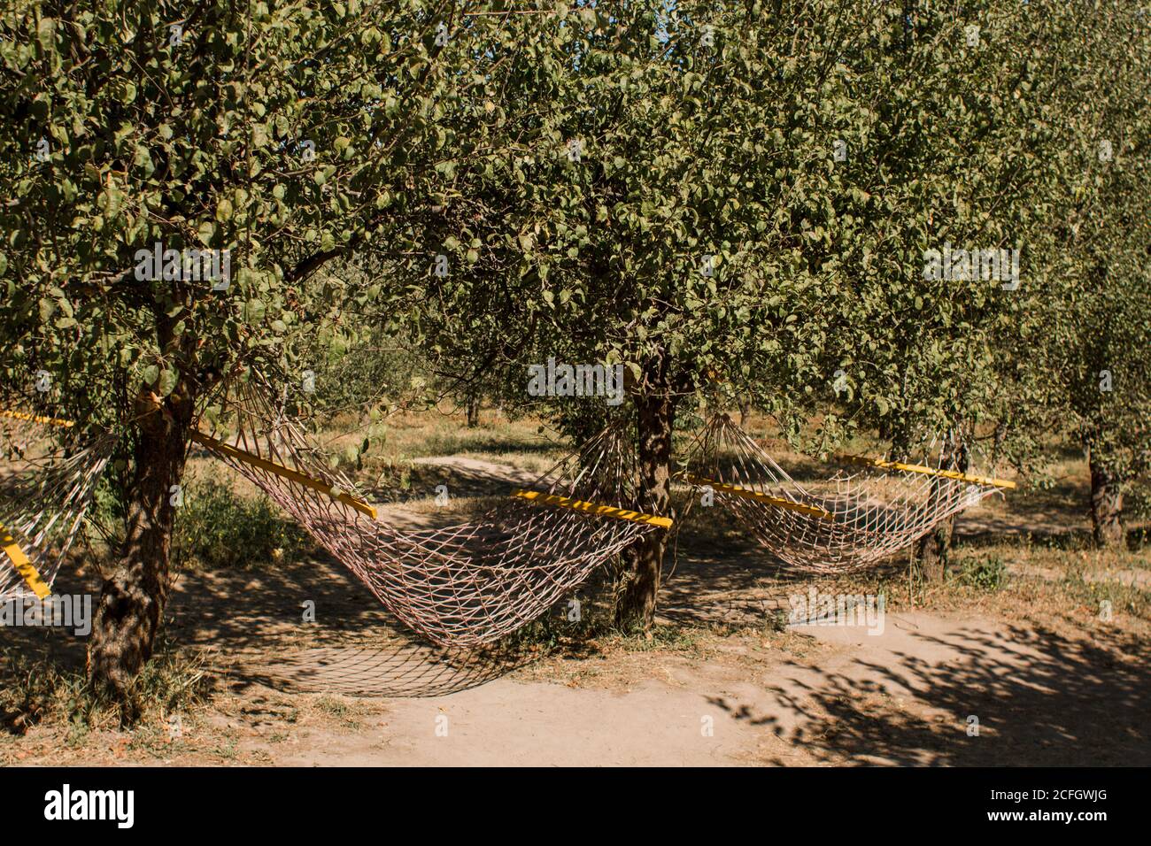 Hammock knot hi-res stock photography and images - Alamy