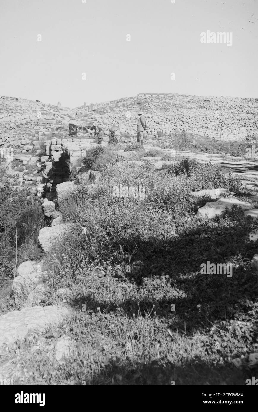 Original Caption: Jerash - Location: Gerasa Jordan ca. 1898-1946 Stock ...