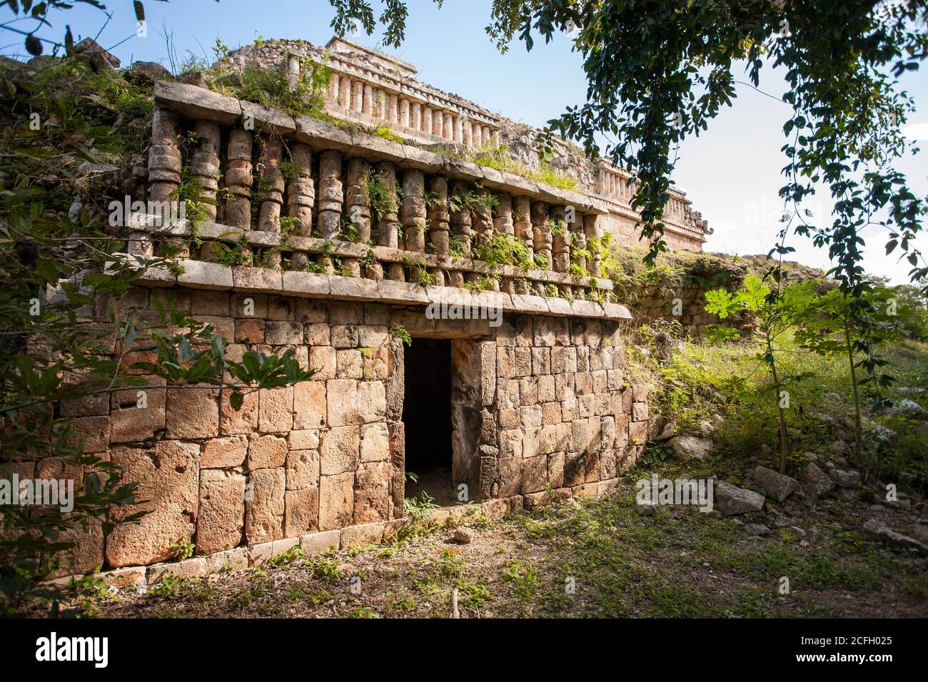 Hidden Palace Doorway: A hidden doorway riddled with green vegetation ...