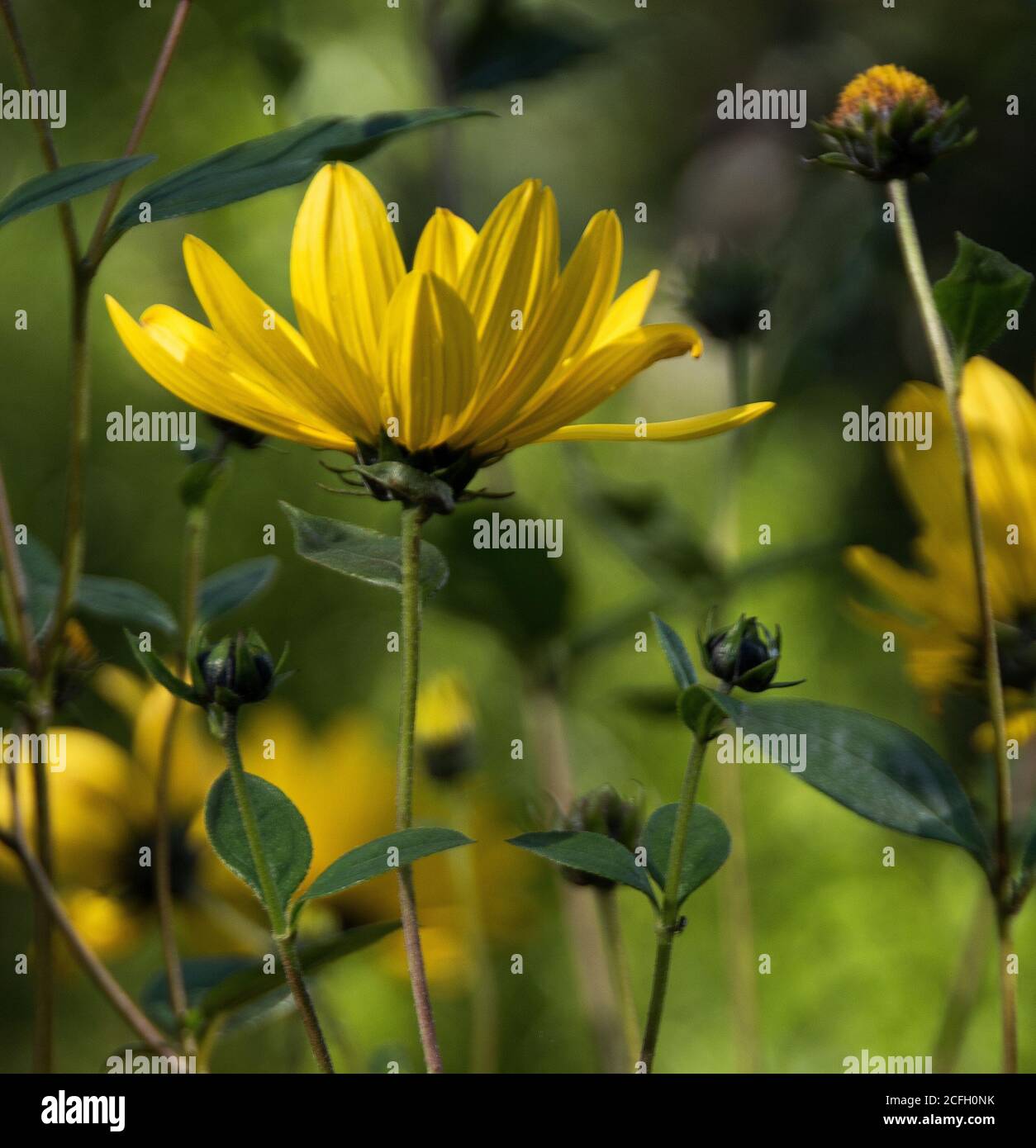 Alternate towards the top hi-res stock photography and images - Alamy