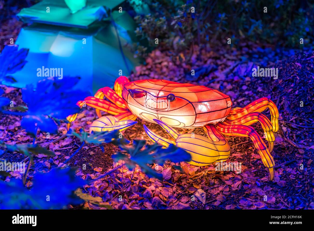 Dublin, Ireland, November 2018 Wild lights at Dublin zoo. Light ...