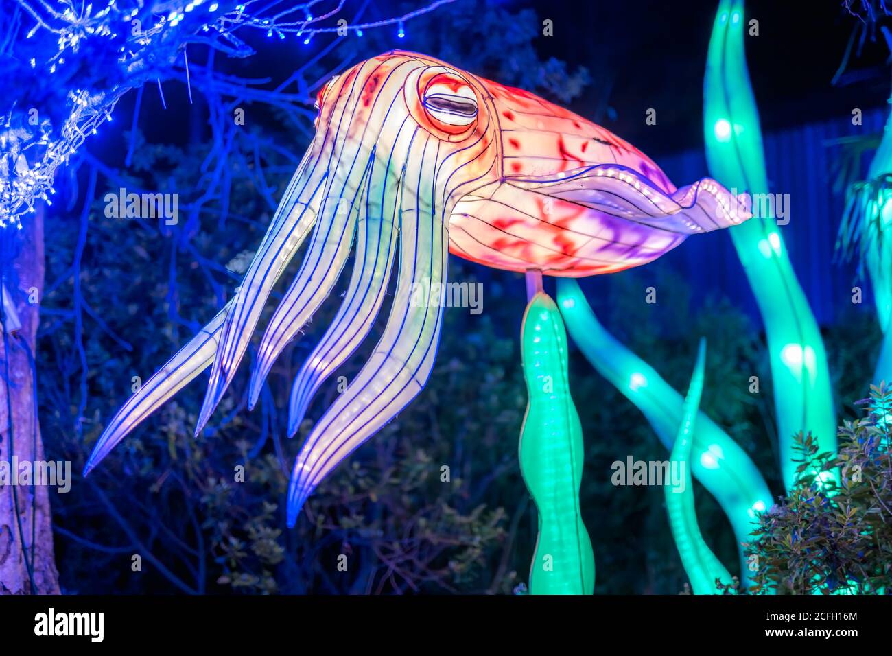 Dublin, Ireland, November 2018 Wild lights at Dublin zoo. Light ...