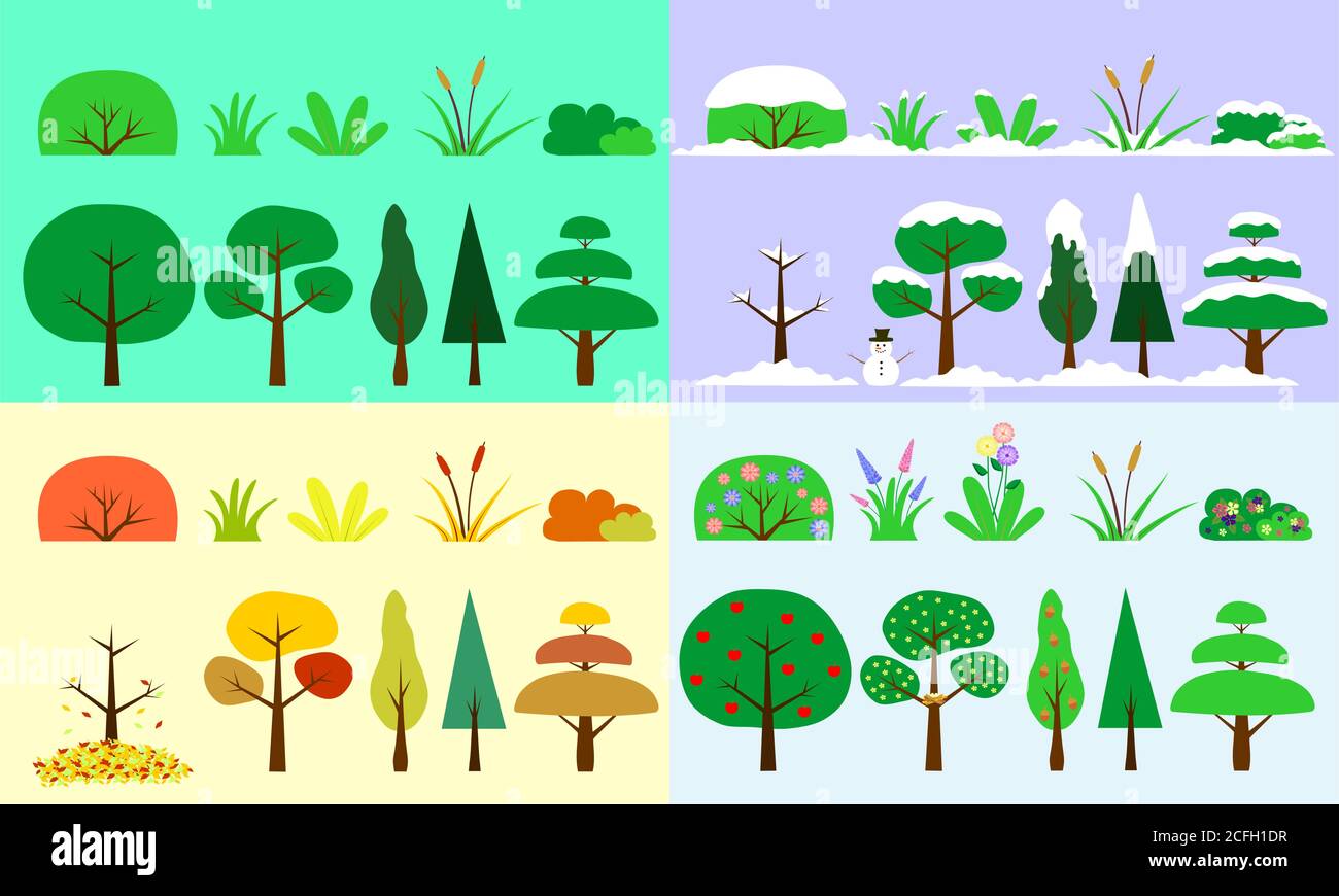 Seasons Of The Year Tree