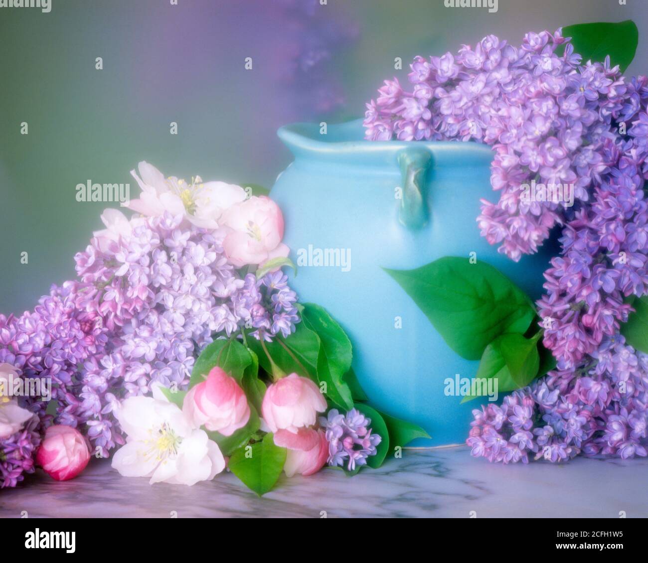 1990s FLORAL ARRANGEMENT PINK & WHITE LILACS Syringa vulgaris BURNET ...