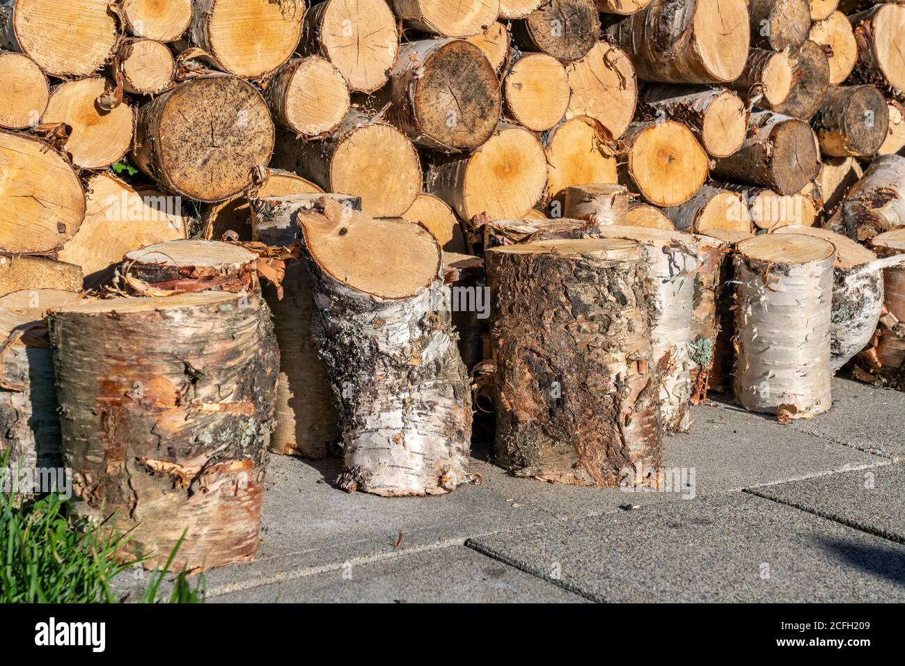 Close up photo of fresh stacked short birch wood logs on barbeque spot ...