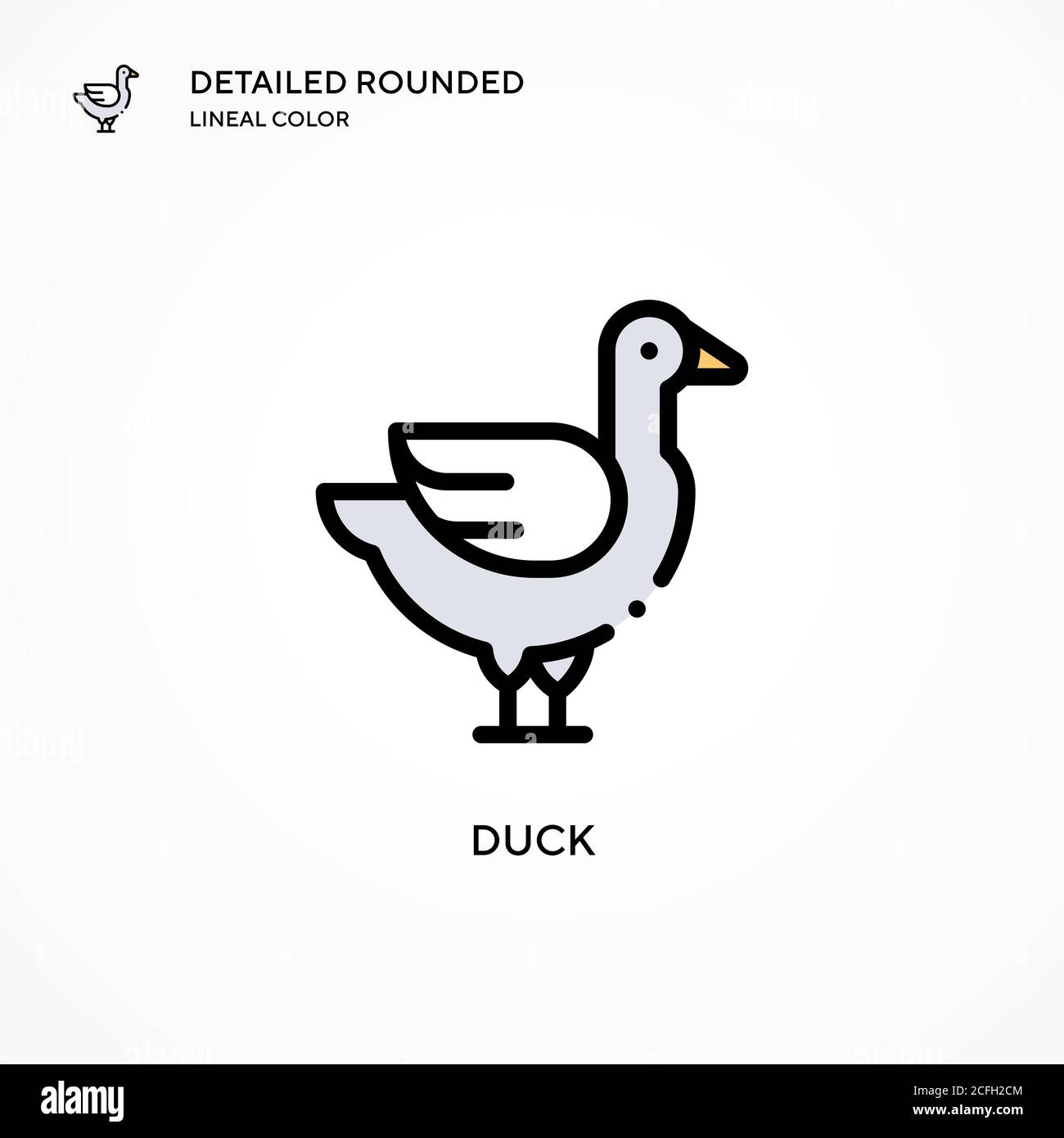 Male mallard ducks Stock Vector Images - Alamy