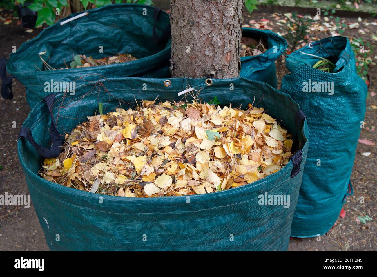 Bags of leaves hi-res stock photography and images - Alamy