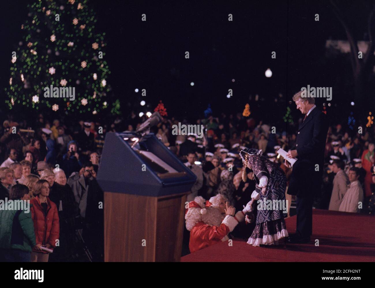 Amy carter tree hi-res stock photography and images - Alamy