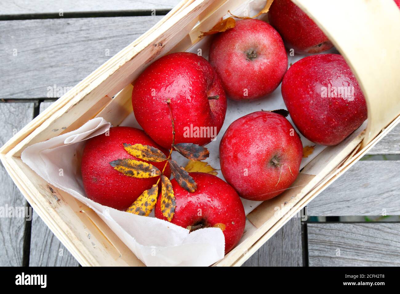 Fresh red apples in a basket Stock Photo - Alamy