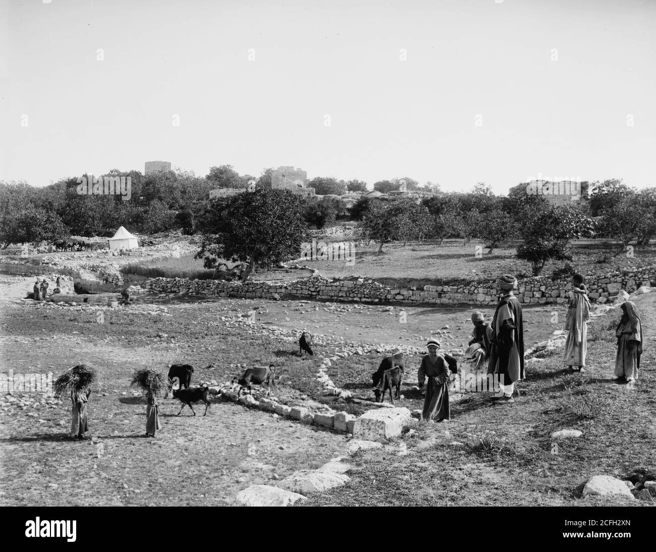 Original Caption: Typical Palestinian village Stock Photo - Alamy