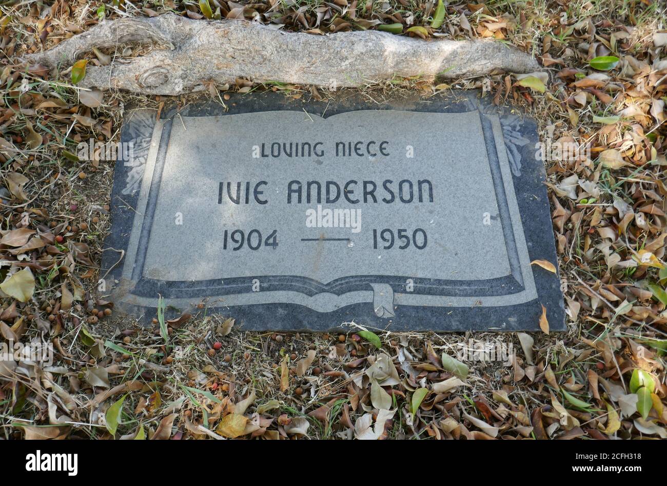 Los Angeles, California, USA 4th September 2020 A general view of ...