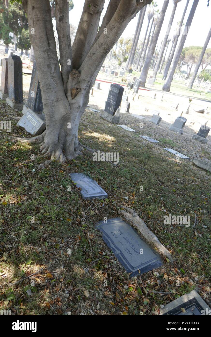 Los Angeles, California, USA 4th September 2020 A general view of ...