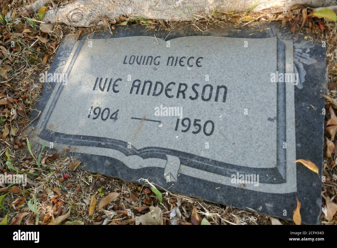 Los Angeles, California, USA 4th September 2020 A general view of ...