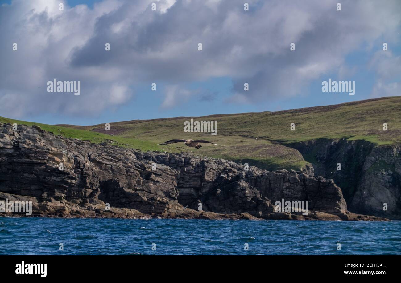 Hamnaboe shetland islands hi-res stock photography and images - Alamy