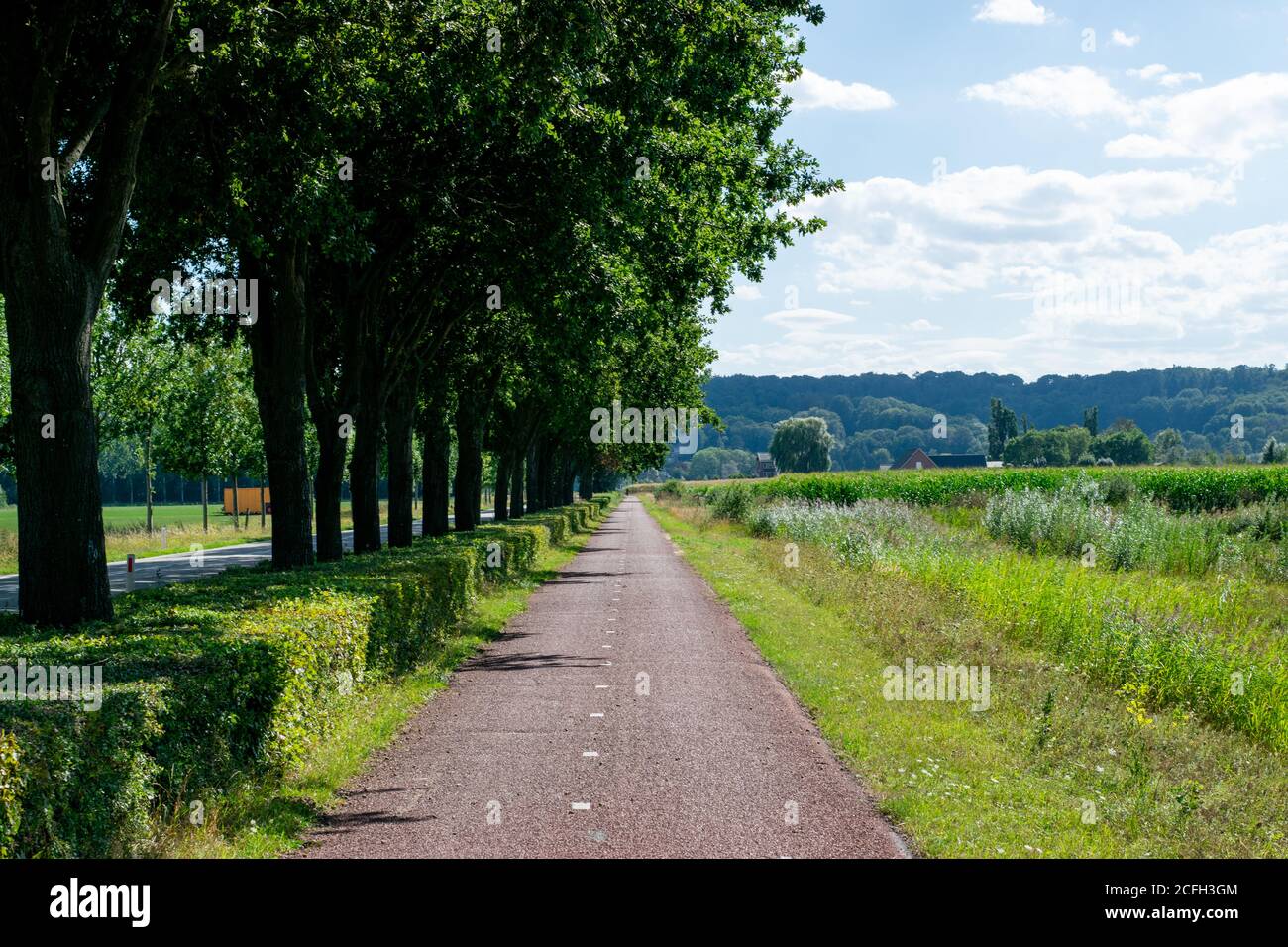 A bike path in a Dutch polder meadow landscape Stock Photo - Alamy